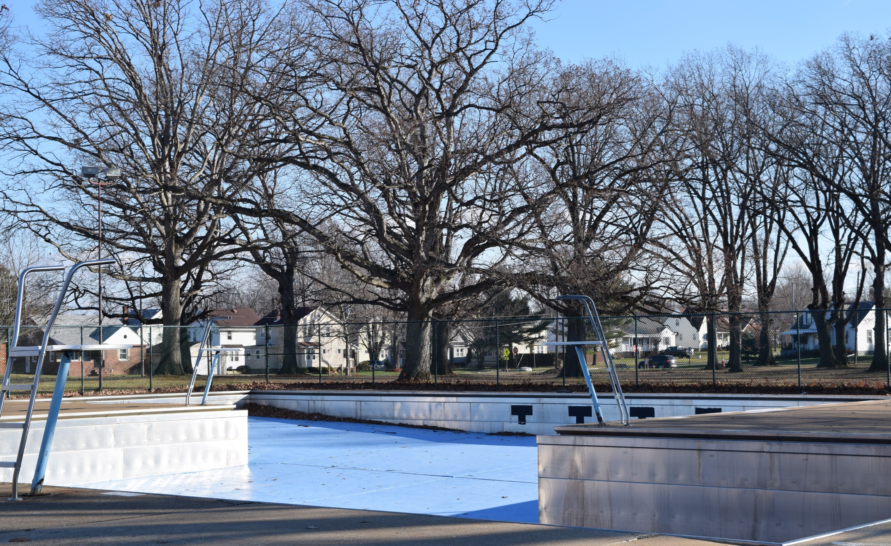 The Trees of Central Park & Central Park Pool. – LORAIN 365