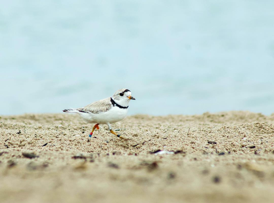 L365 Week 33 Photo Challenge Winner – LORAIN 365
